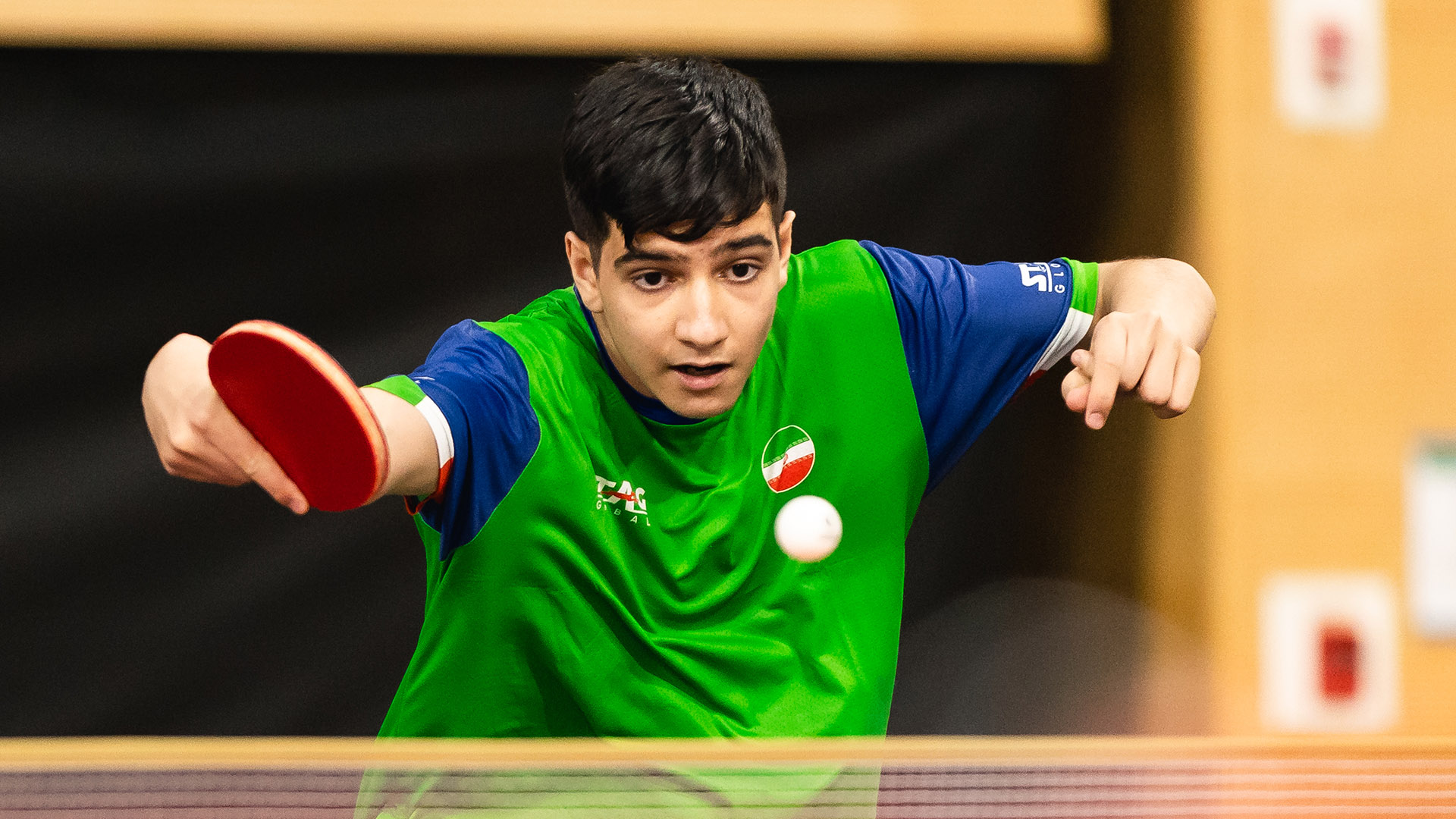 World Table Tennis