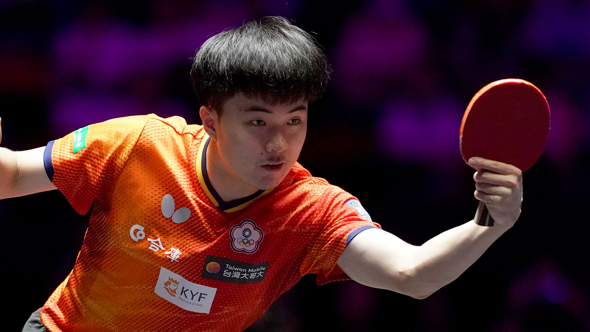 World Table Tennis