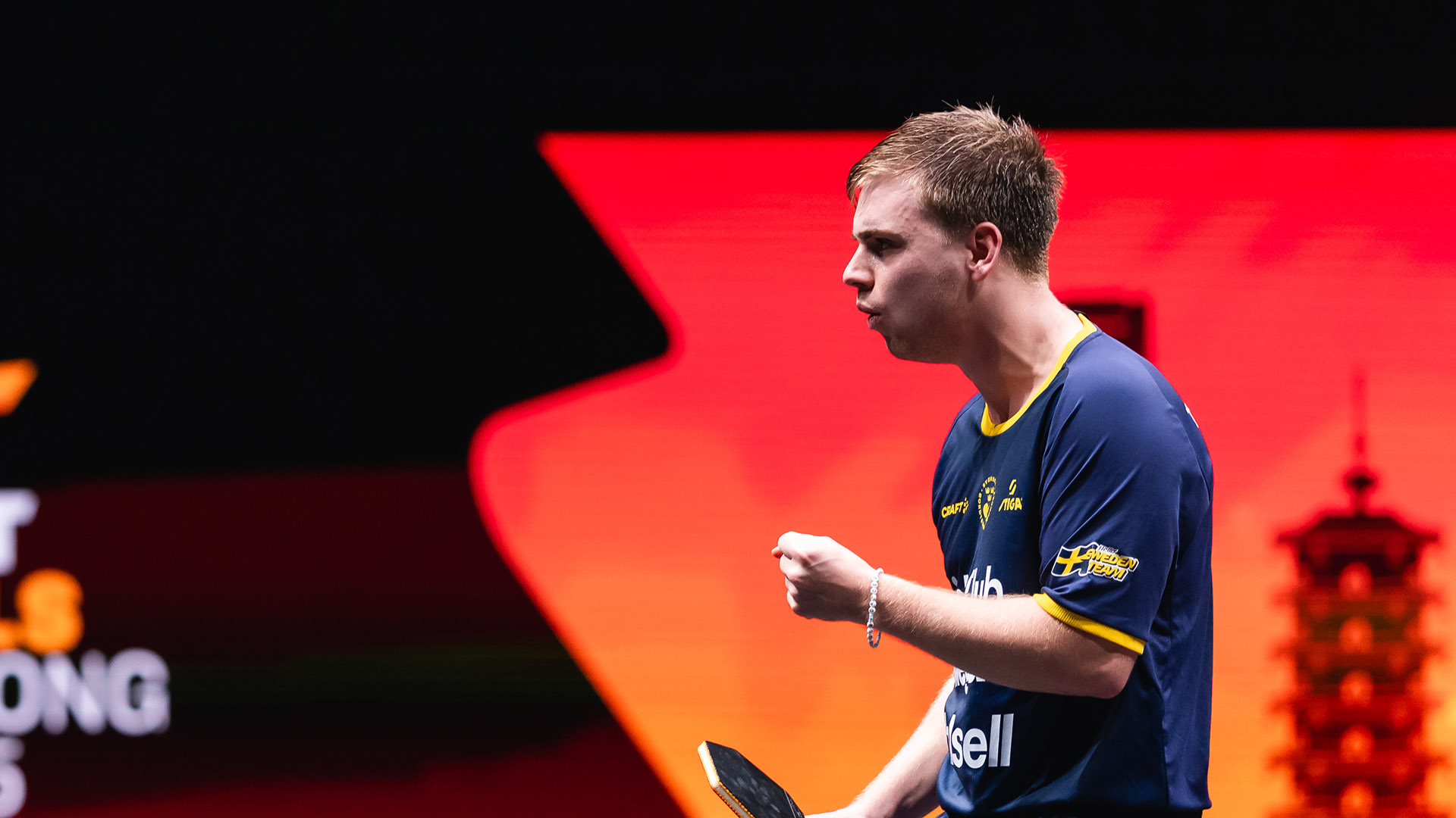 World Table Tennis