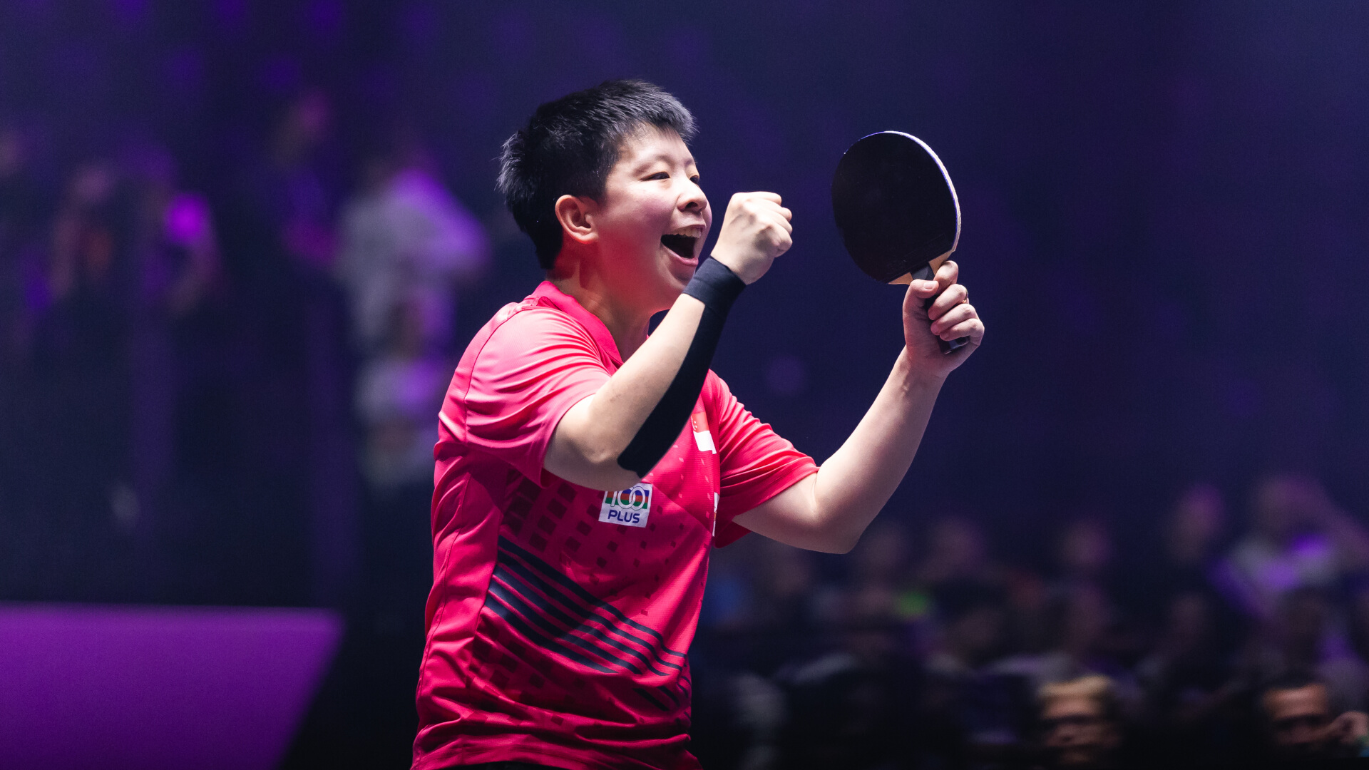 World Table Tennis